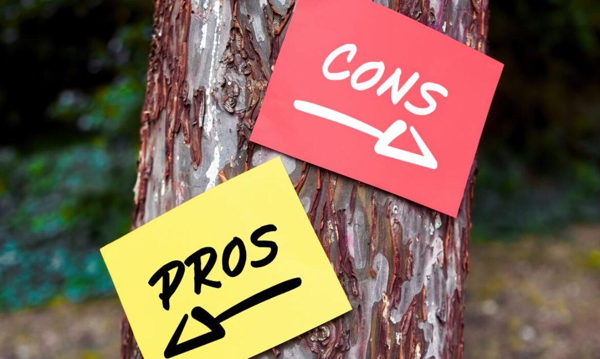 8 Crucial Pros and Cons of SEO Search Engine Optimization 8 Crucial Pros and Cons of SEO Search Engine Optimization